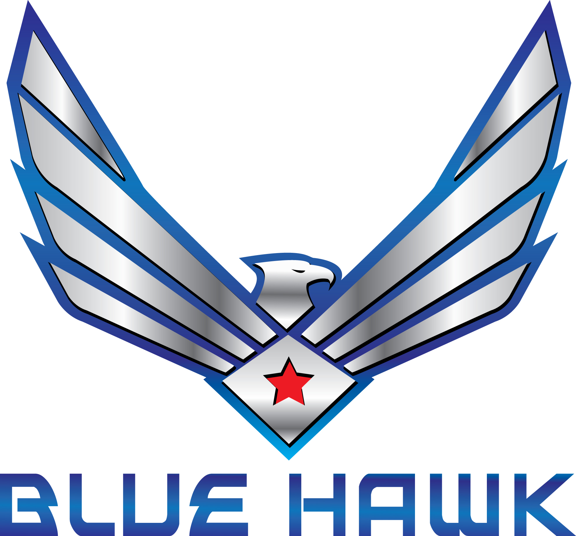 Blue Hawks Logo